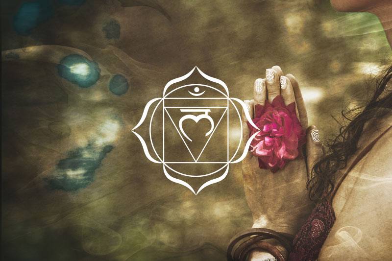 Chakra racine : Signification du 1er chakra et le débloquer | Chakras Shop