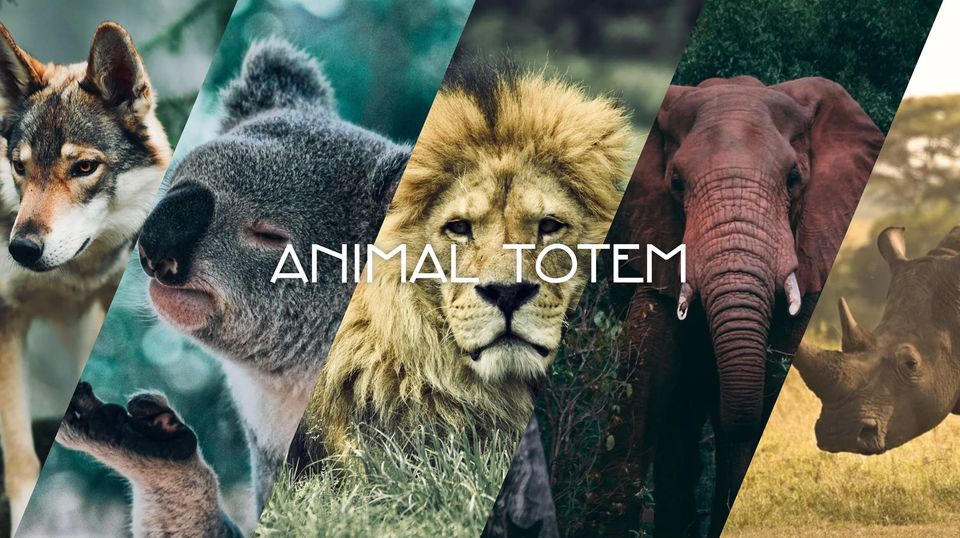 Comment connaitre son animal totem ? | Chakras Shop